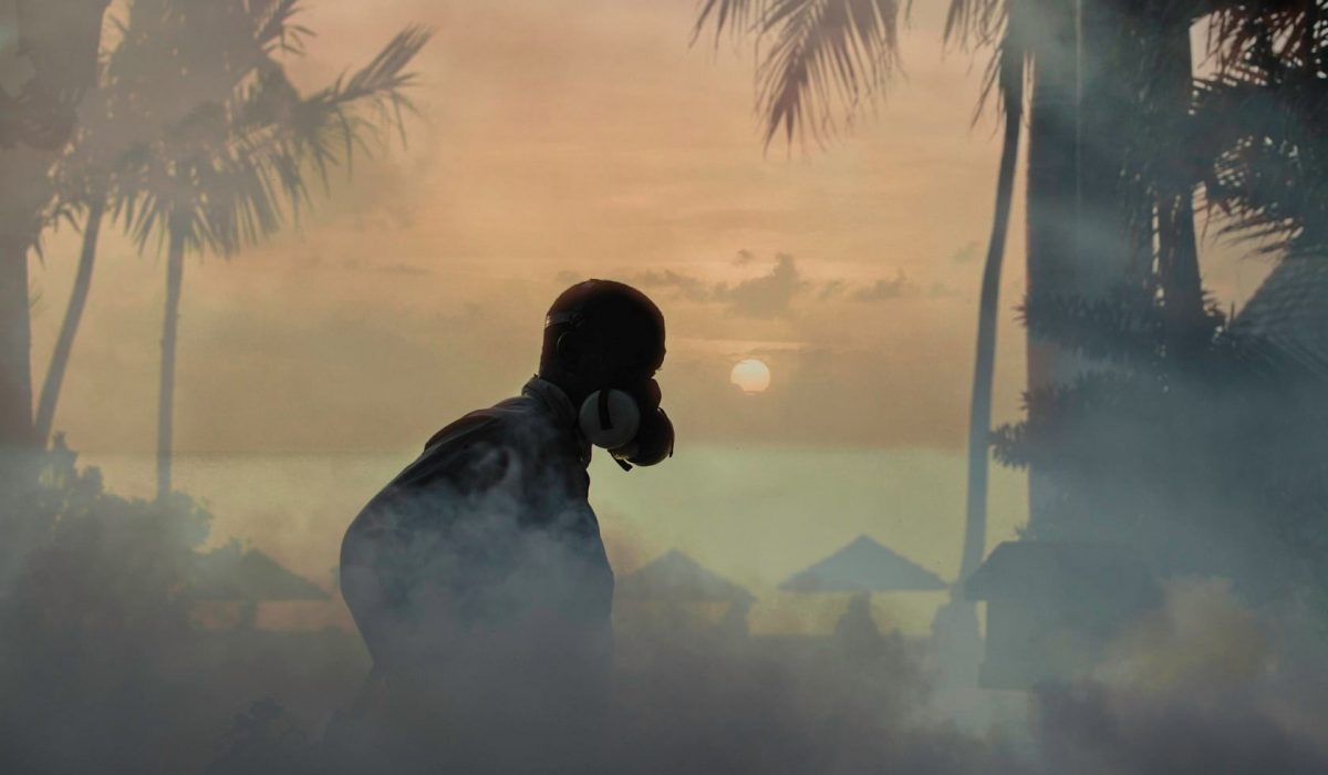 Sand Fleas and Mosquitoes in Cuba: The Survival Guide (2020)